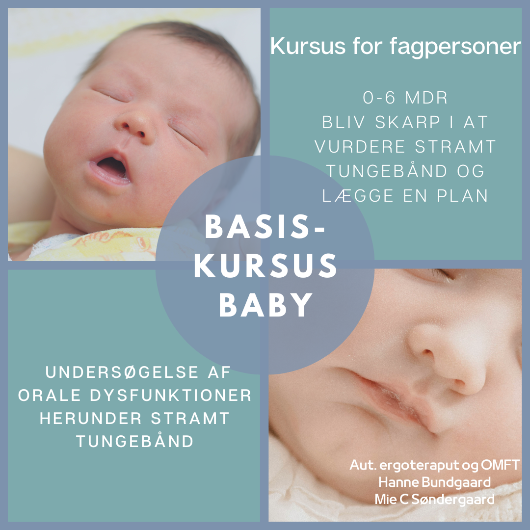 Basiskursus - Ny opsætning – Funktionelterapi